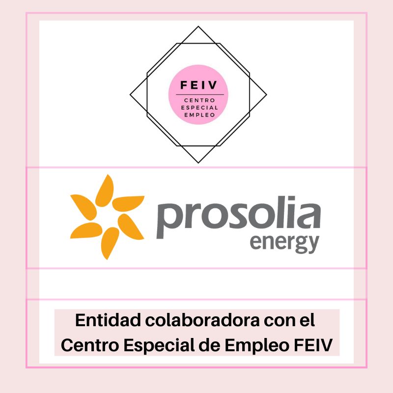 ¿Para quién trabajamos? – CEE FEIV